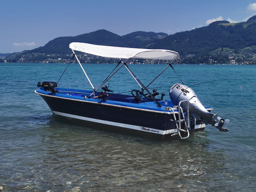 Selco Motorboot mit Honda Aussenborder & Trailer & Platz (Gebraucht) in ...