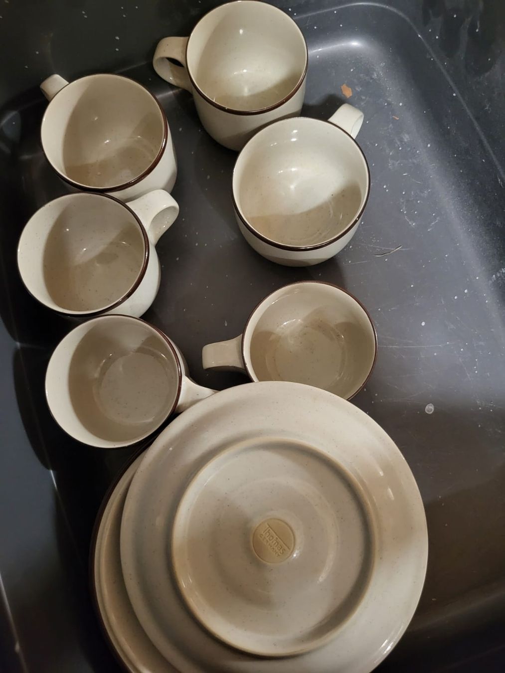 Thomas Germany Kaffee-/Teeservice – Vintage Porzellan, creme (Gebraucht ...