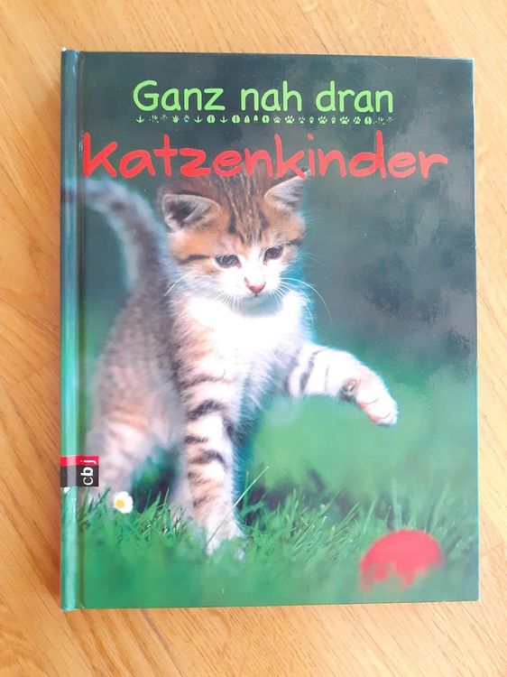 Ganz nah dran Katzenkinder | Kaufen auf Ricardo