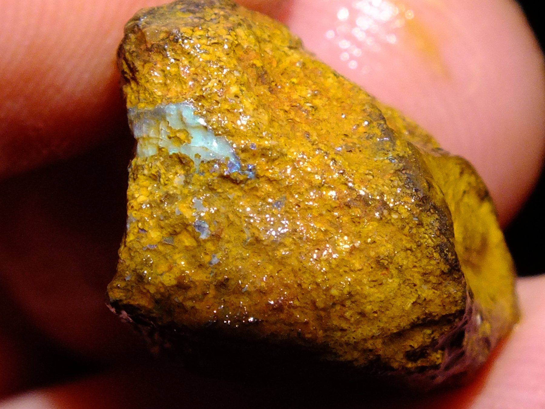 BOULDER ROH OPAL 22.76 Karat Gebot 1.- Elektrisch Grün feuer (Neu und ...