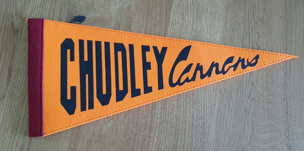 Harry Potter, Chudley Cannons "Merch" (Gebraucht) in Zofingen für CHF 1 ...