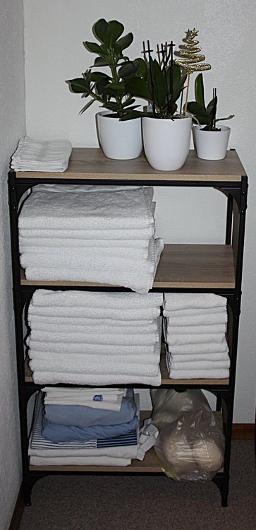 Regal Somoa Eiche - schwarz 60x33x100cm (Gebraucht) in Flüelen für CHF ...