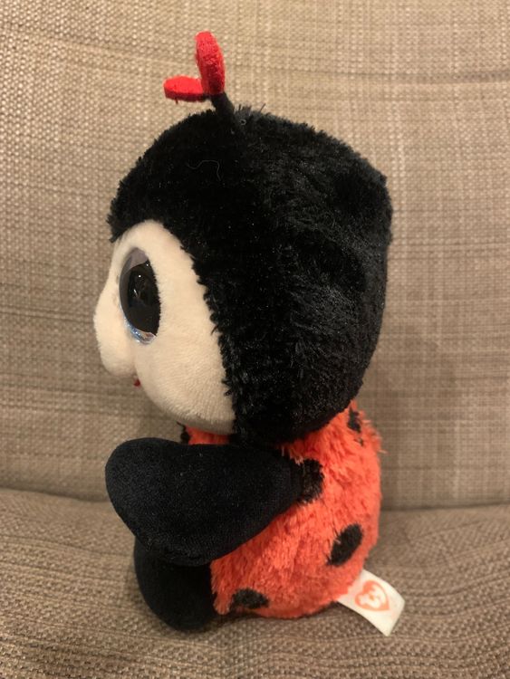 TY BEANIE BOO „Marienkäfer Izzy“ mit Glubschaugen (Gebraucht) in ...