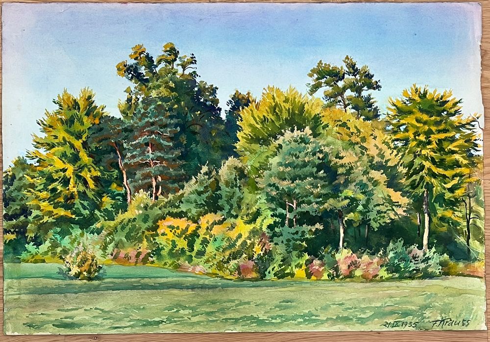 Franz Krauss ( 1955 ) Landschaft Aquarell (Gebraucht) in Root für CHF 10 – mit Lieferung auf ...