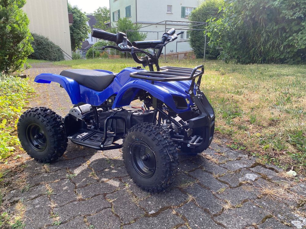 Electric Mini Quad 36V 800W (Gebraucht) in für CHF 310 – nur Abholung ...