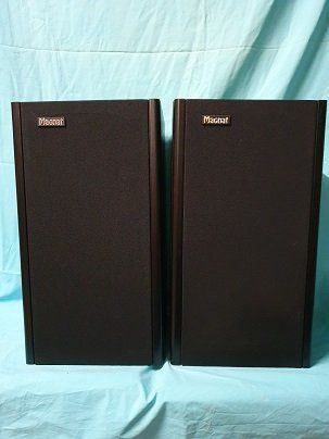 Magnat All-Ribbon 4 (Gebraucht) in Dierikon für CHF 85 – mit Lieferung ...