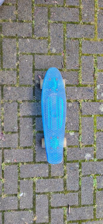 Blaues Pennyboard für den Frühling! | Kaufen auf Ricardo