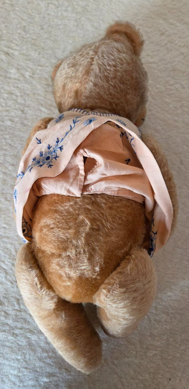 Alter Bär (Clemens) brummt aus den 50er Jahren (Gebraucht) in Allschwil ...