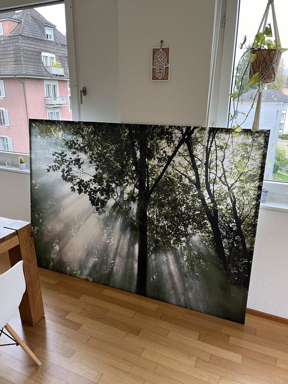 Ikea Wandbild (Gebraucht) in Luzern für CHF 1 – nur Abholung auf Ricardo kaufen