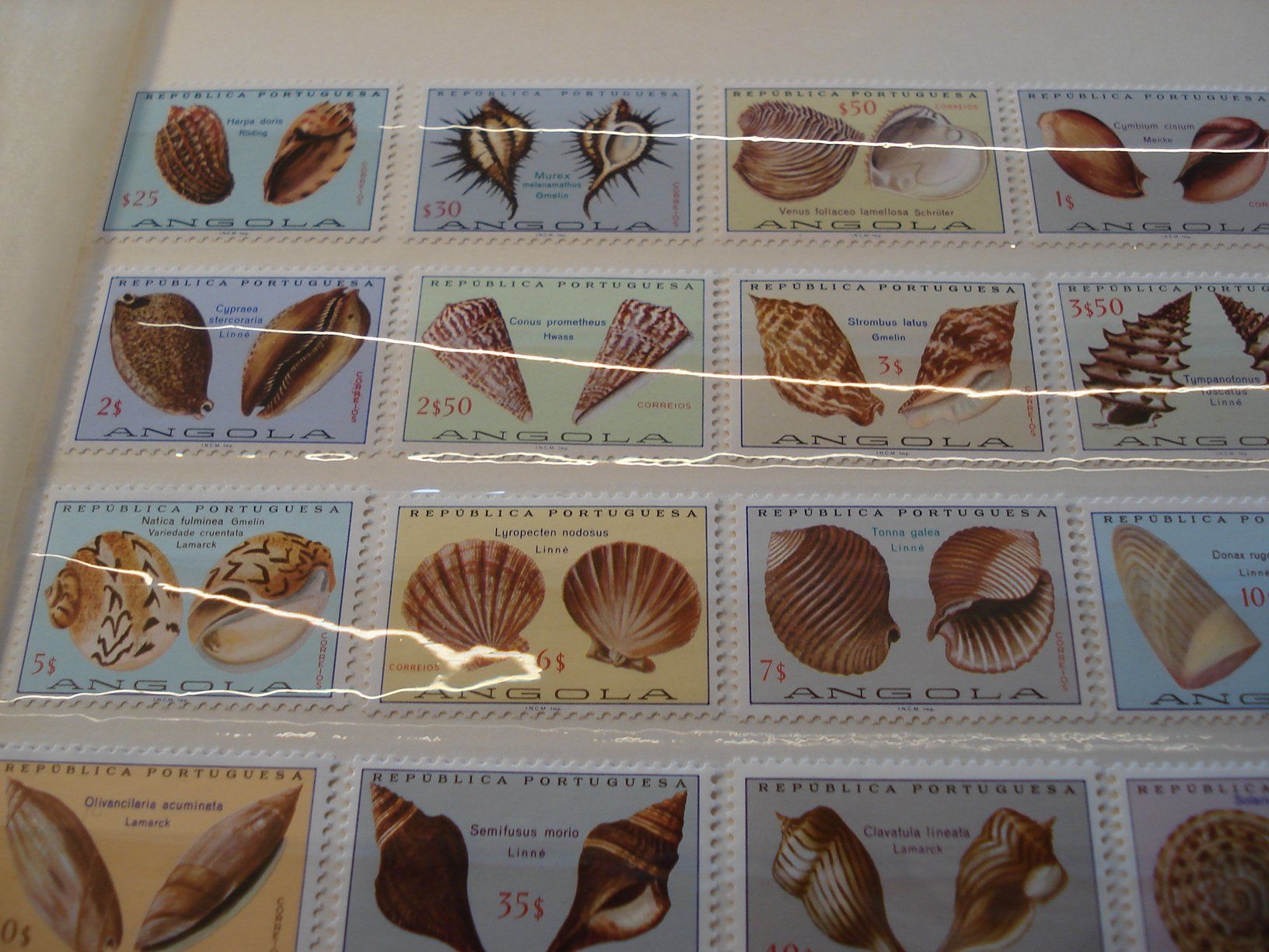 3 Sätze Angola um 1965 ** Muscheln, zT mit Überdruck (Gebraucht) in ...