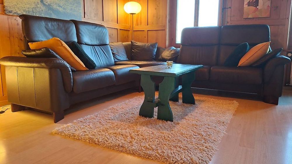 Stressless Sofa Paradise dunkelbraun (Gebraucht) in Bern für CHF 1095 – nur Abholung auf Ricardo ...