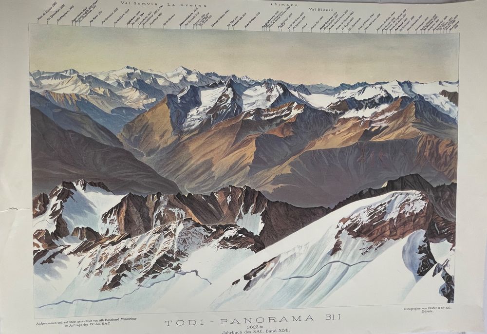 Lithographie TODI PANORAMA B1-1-IV Repro 1979 Hofer Zürich | Kaufen auf Ricardo
