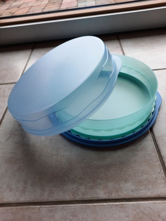 Erstaunlich Tupperware Kuchenbehalter Eckig Fotos