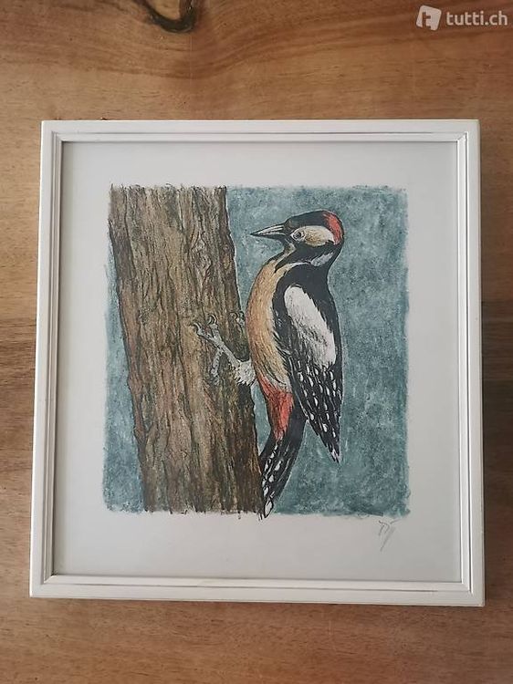 Zwei schöne Lithos Vogelmotive von Alex Walter Diggelmann | Kaufen auf ...