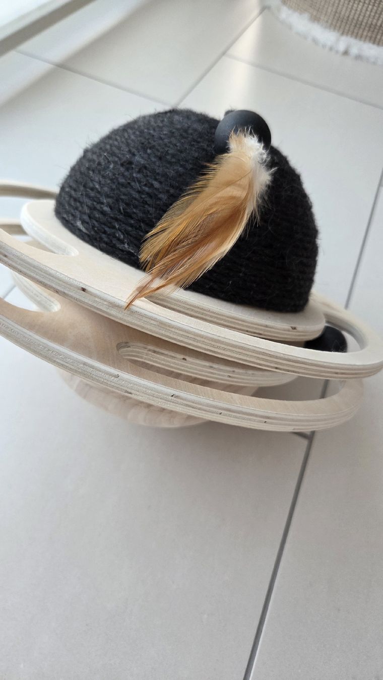 Toupie à gratter pour chat (Neuf (Voir description)) à Le Pâquier ...