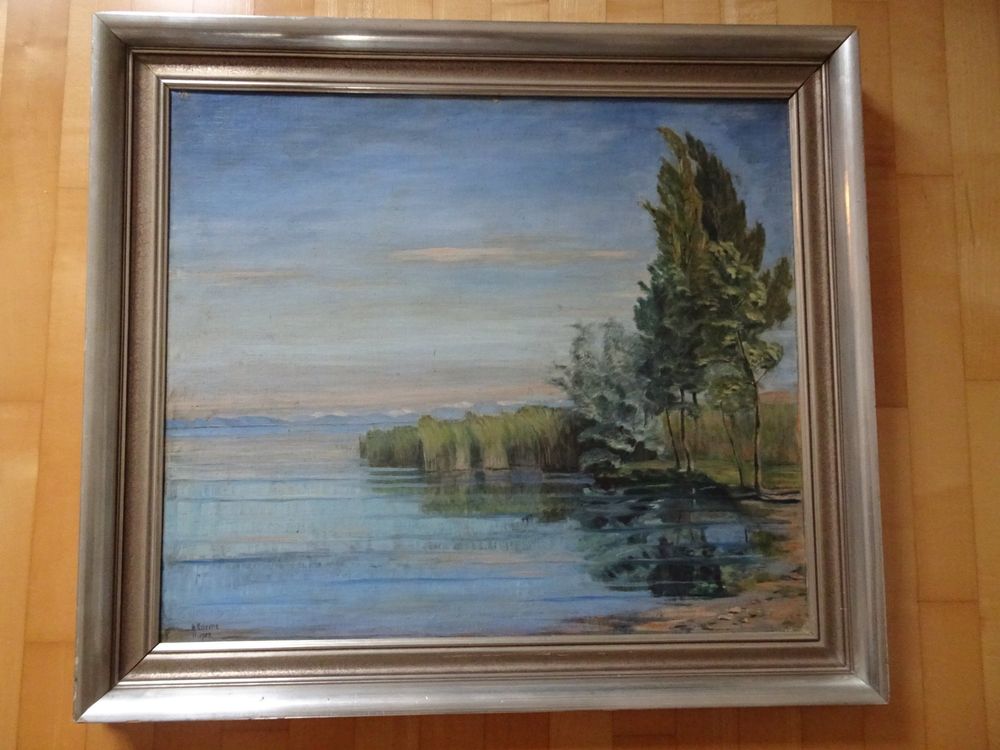 H.Knecht Seelandschaft Bodensee? Oelbild signiert 1925 | Kaufen auf Ricardo