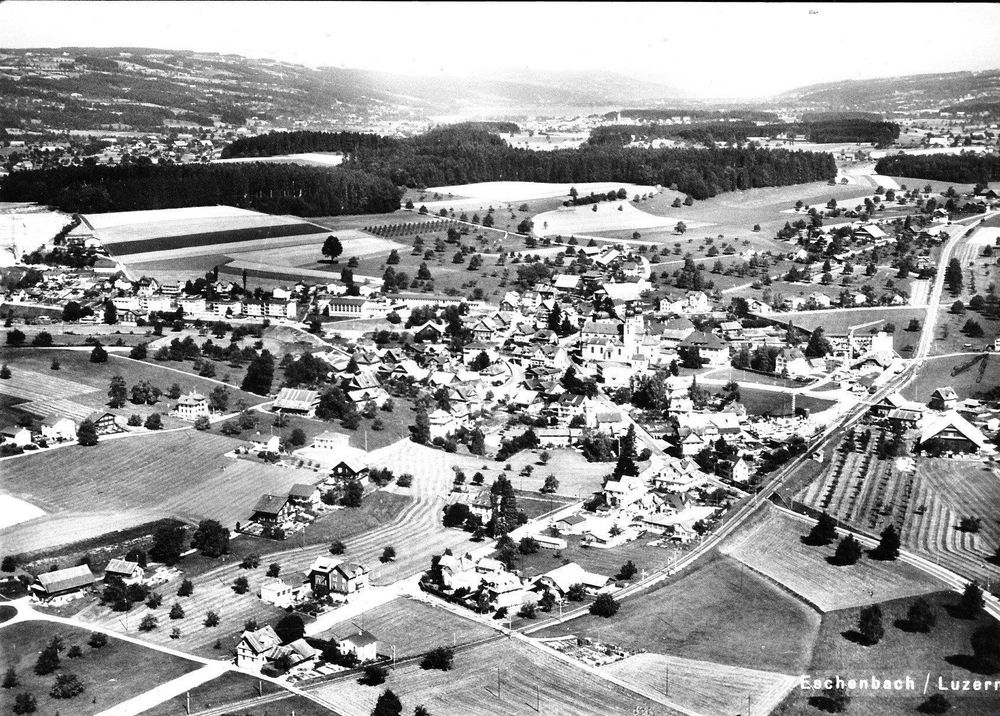 Eschenbach | Kaufen auf Ricardo