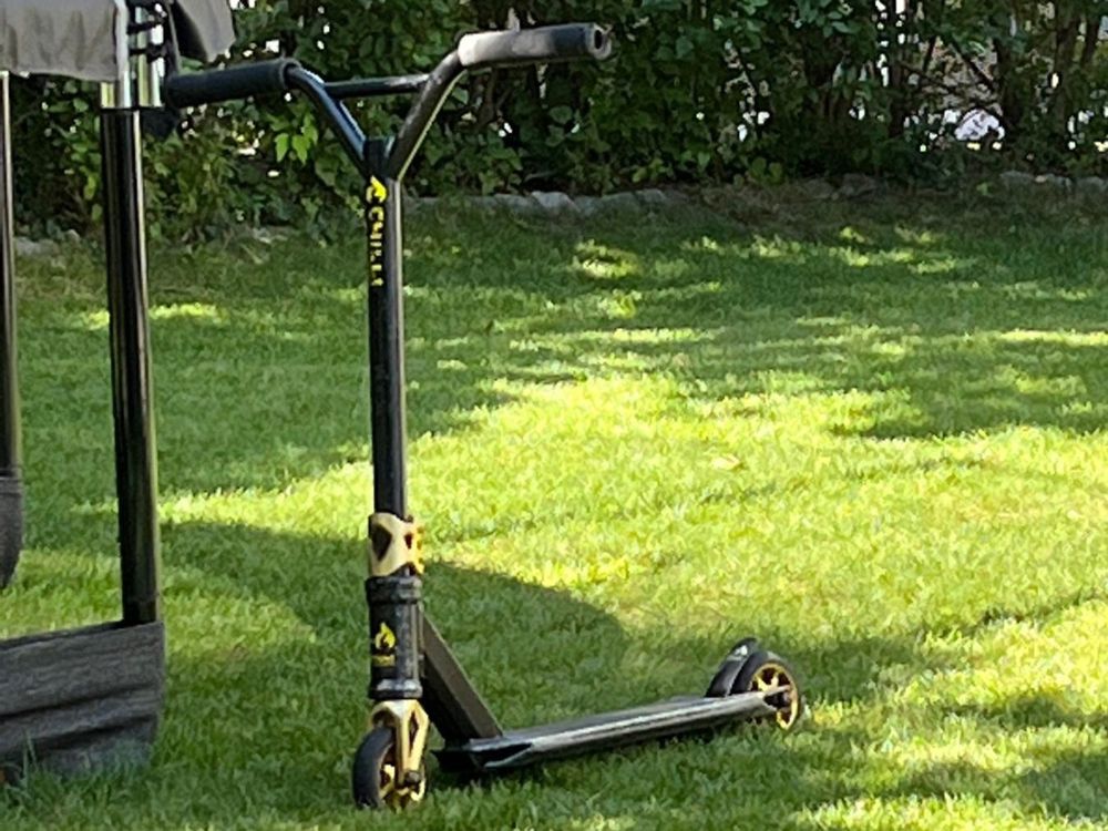 Chilli Scooter 3000 gold (Gebraucht) in für CHF 34 – nur Abholung auf ...
