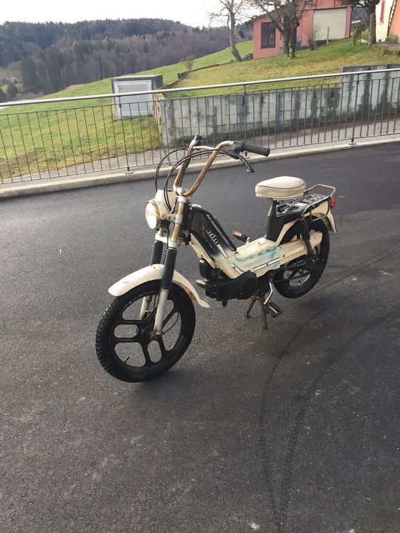 Vélomoteur cilo wildcat 518 (D'occasion) à Remaufens pour CHF 600 ...