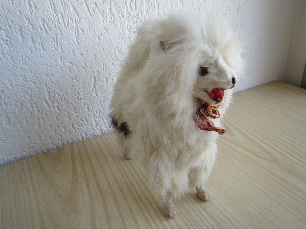 alte Hund Spitz Candy Container Puppen | Kaufen auf Ricardo