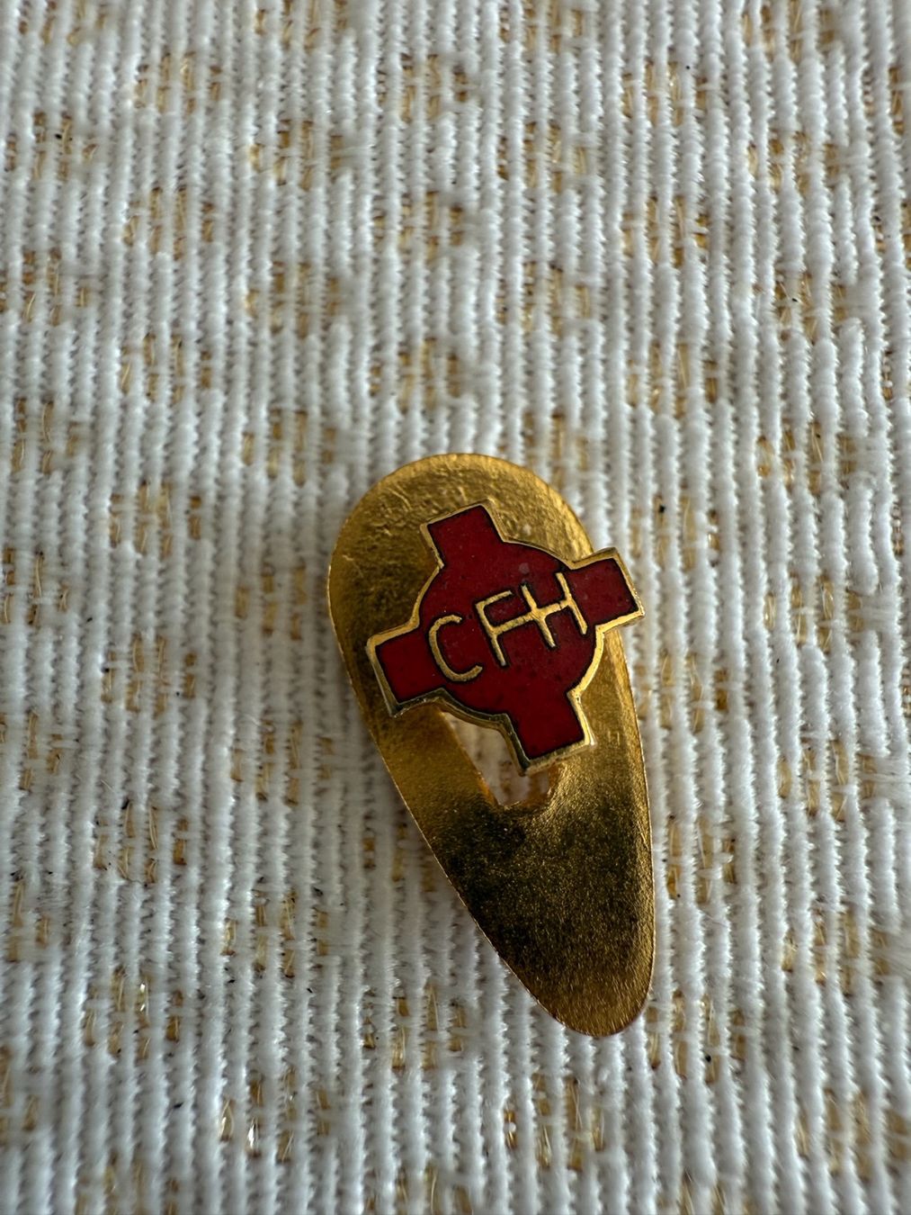 CFH - Centre de Formation en Horlogerie - Pin's - Torrini (D'occasion ...