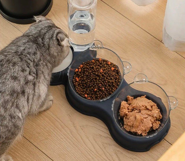 Doppelter Futternapf mit Brunnen für Katzen / Double bol (Neu und originalverpackt) in Lausanne ...