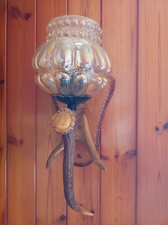 Wandlampe Hirschgeweih Glas Vintage Deko 60er Jahre shabb... (Gebraucht ...