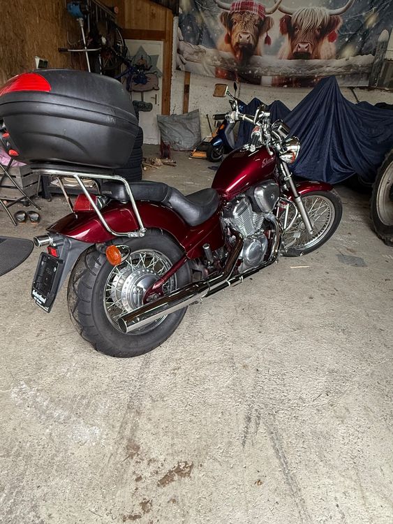 Honda Shadow 600cc (Gebraucht) in Obergösgen für CHF 920 – nur Abholung ...