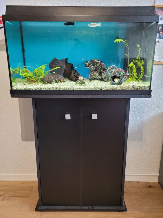 Aquarium 120l | Kaufen auf Ricardo