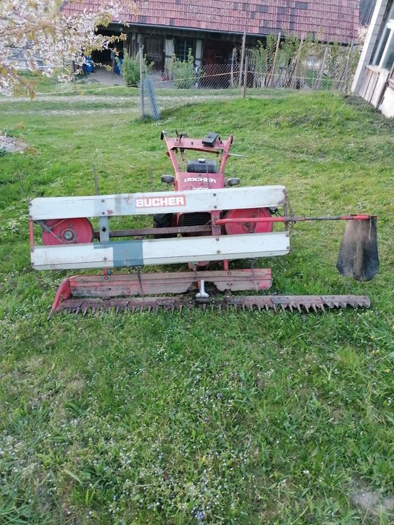 Bucher m600 Motormäher (Gebraucht) in Ochlenberg für CHF 355 – nur ...