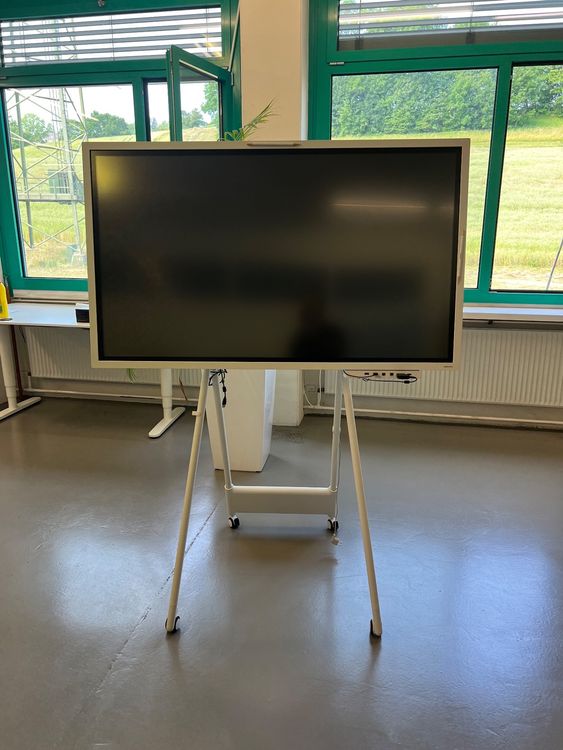 Samsung Flip 2 WM55R (3840 x 2160 Pixels, 55") | Kaufen auf Ricardo