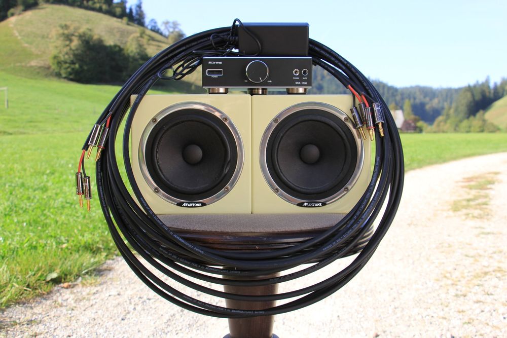 Avant Avantone Mixcubes (Auratone-Klon) + Preamp + Kabel | Kaufen auf ...