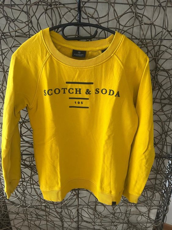 Scotch and Soda Pullover Junge (10J) (Neu (gemäss Beschreibung)) in ...