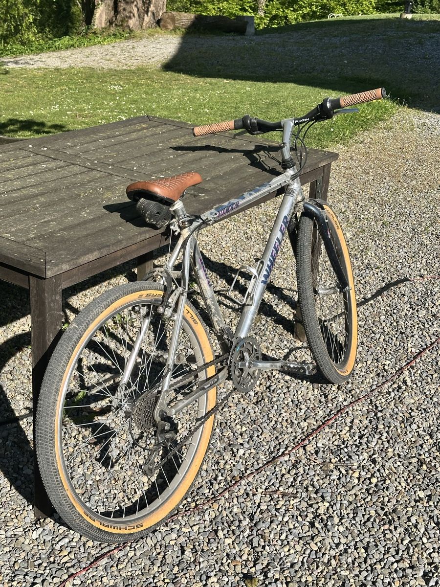 Wheeler 5900 ZX Retro MTB, Urban/Gravel Restomod, 19.5 Zoll, (Gebraucht ...