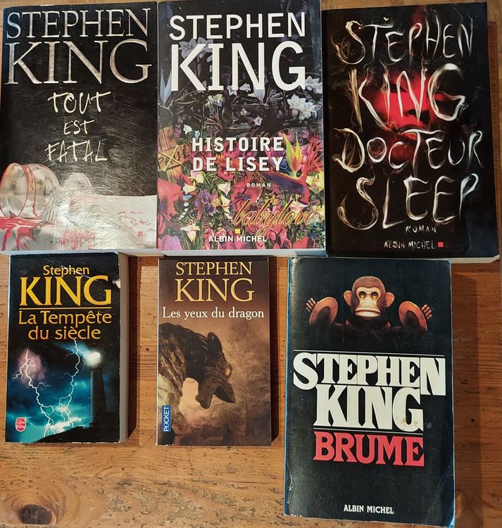 Stéphen King - lot de 16 livres | Kaufen auf Ricardo