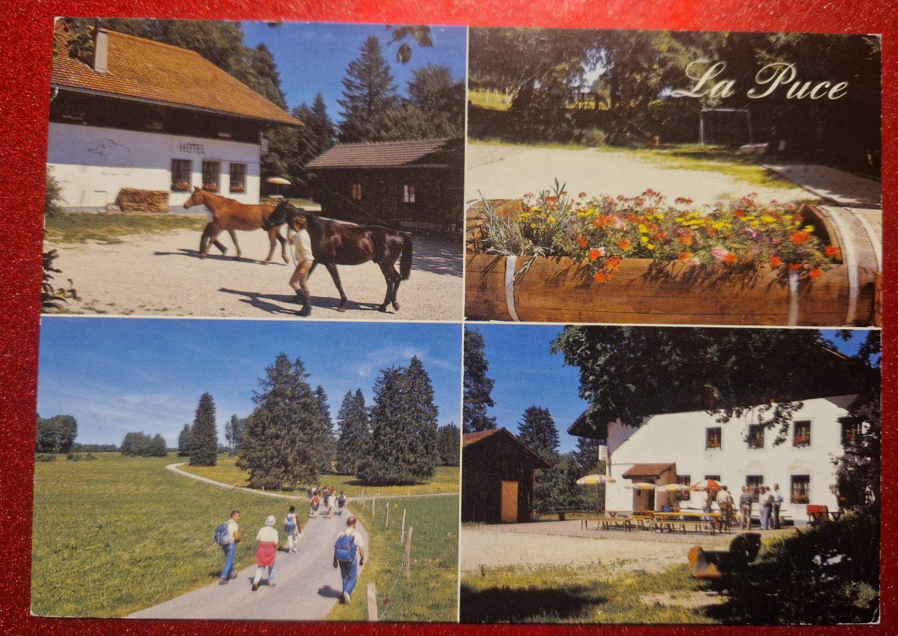 Auberge de la Puce, La Ferrière alt (Neu (gemäss Beschreibung)) in ...