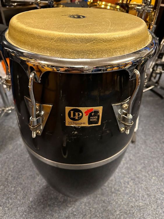 LP Conga PATATO MODEL (Gebraucht) in Thalwil für CHF 340 – nur Abholung ...