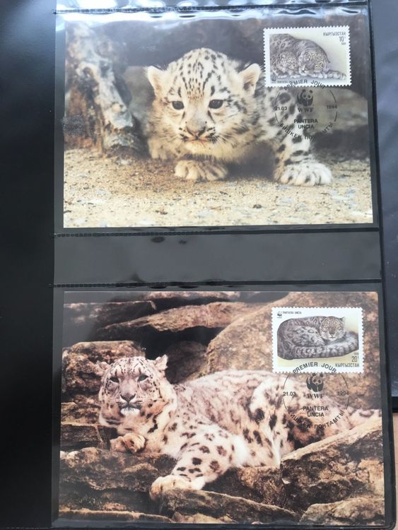 WWF Kirgisien 1994 Satz Scheeleopard Maximumkarten (Neu (gemäss Beschreibung)) in Liestal für ...