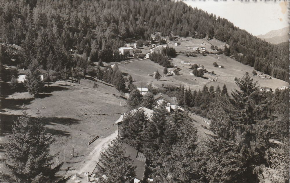 Pan. Laura | Kaufen auf Ricardo