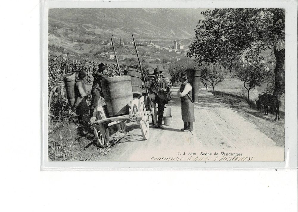 J.J. 8319 Scène de Vendanges AYE VS ca 1920! | Kaufen auf Ricardo