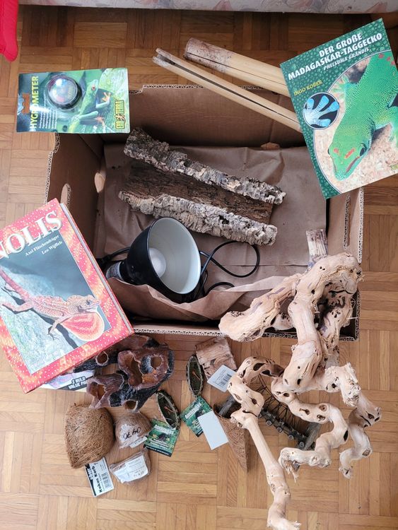 Terrarium Deko Set mit Wurzeln, Kork und Lampe (Gebraucht) in Lupfig für CHF 25 – nur Abholung ...