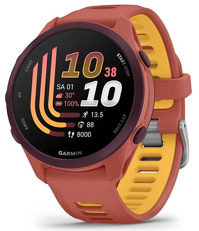 Forerunner 170 Music Red Pink (Gebraucht) in Neudorf für CHF 309 – mit ...