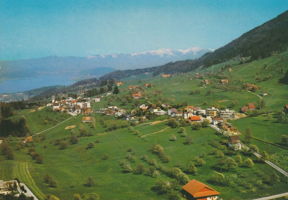 SZ 486 Feusisberg, Flugaufnahme, ca. 1965 | Kaufen auf Ricardo