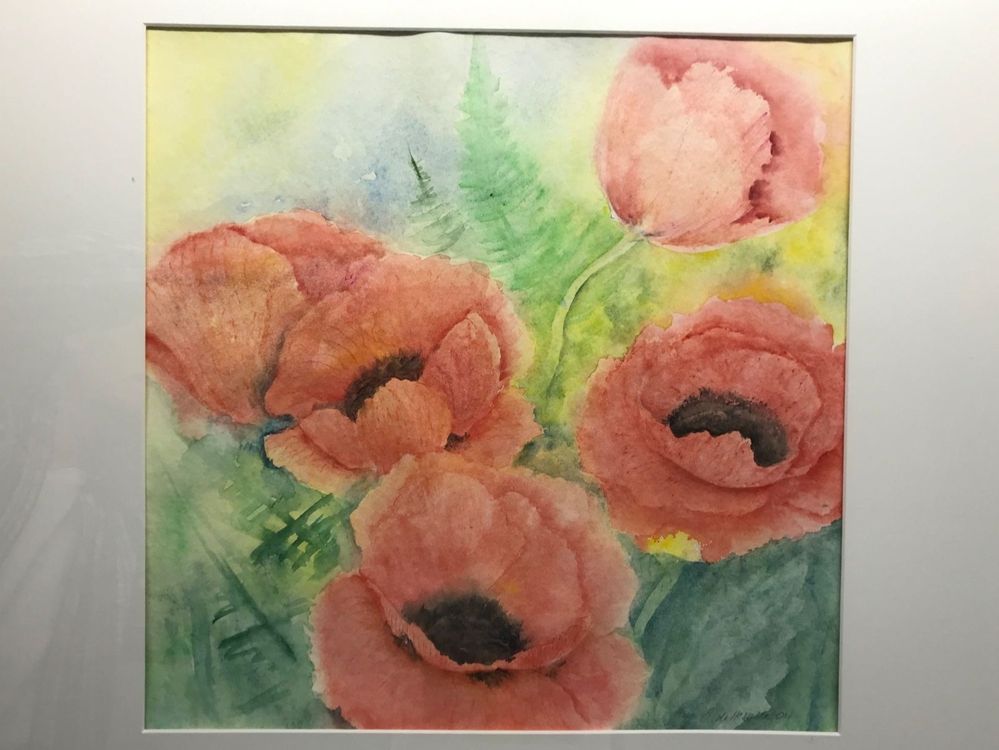 Grete de Hesselle - Mohnblumen (Aquarell, sign. & datiert) (Gebraucht) in Hünenberg für CHF 150 ...