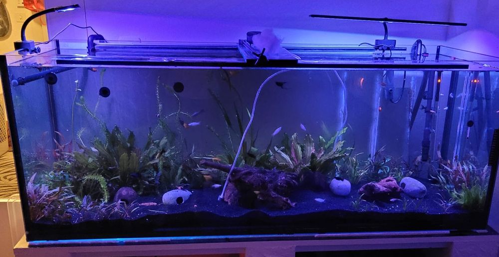 Aquarium mit Unterschrank ca.580l | Kaufen auf Ricardo