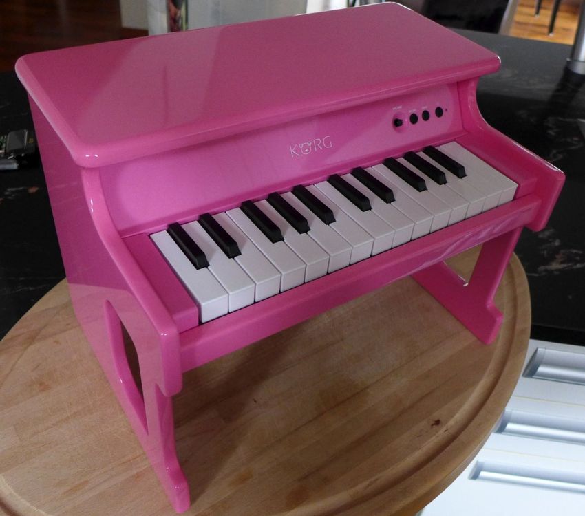 Korg Tiny Piano hochwertiges Kinderklavier oder Spieldose (Gebraucht ...