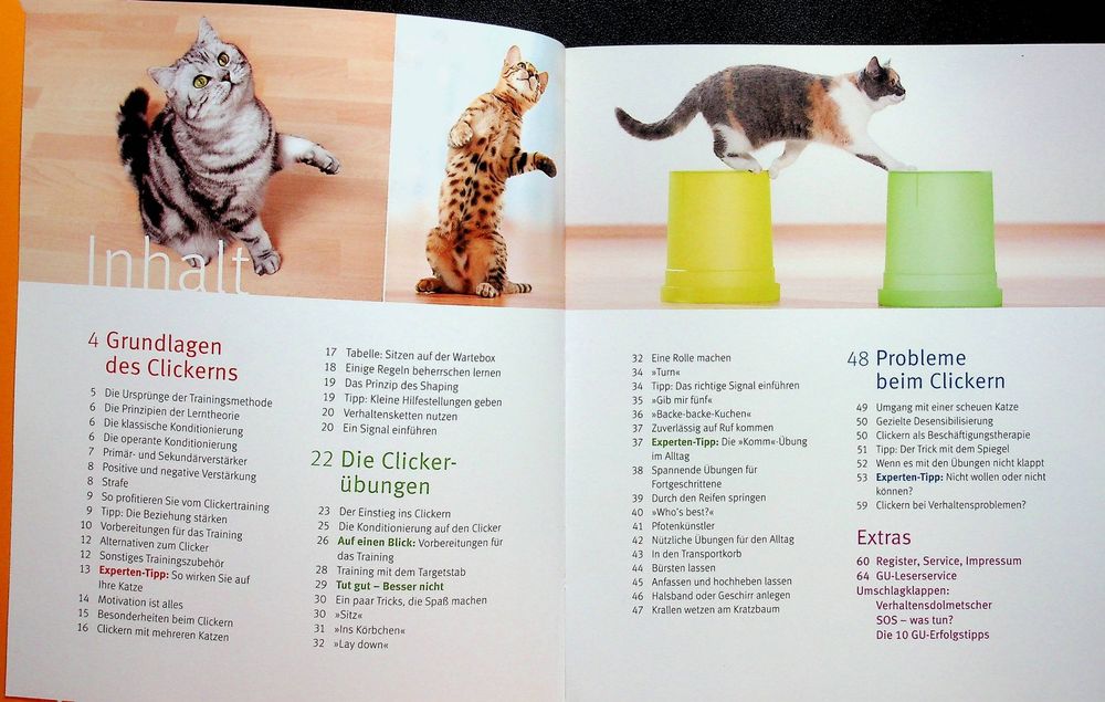 Katja Rüssel Katzen - Clickertraining GU Tierratgeber | Kaufen auf Ricardo Katja Rüssel Katzen - Clickertraining GU Tierratgeber | Kaufen auf Ricardo