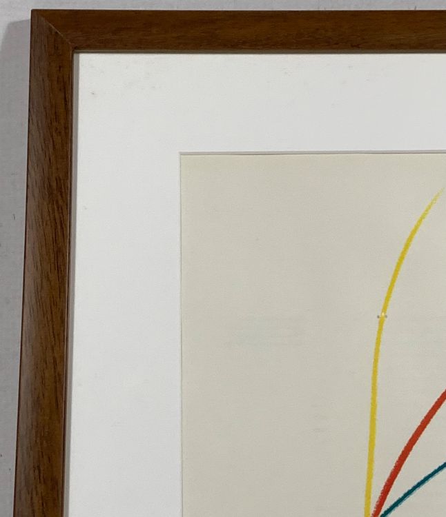 Pablo Picasso (1881-1973) Litho Handsigniert &Zertifikat (Gebraucht) in Root für CHF 915 – mit ...