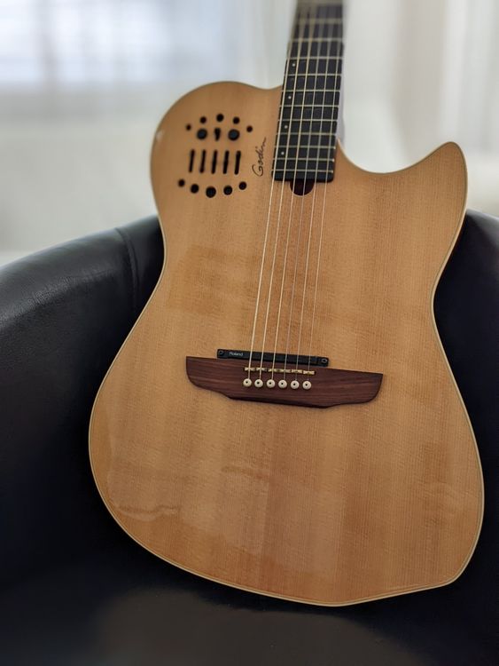 Godin Multiac Steel SA, mit Koffer (Gebraucht) in Reiden für CHF 470 ...