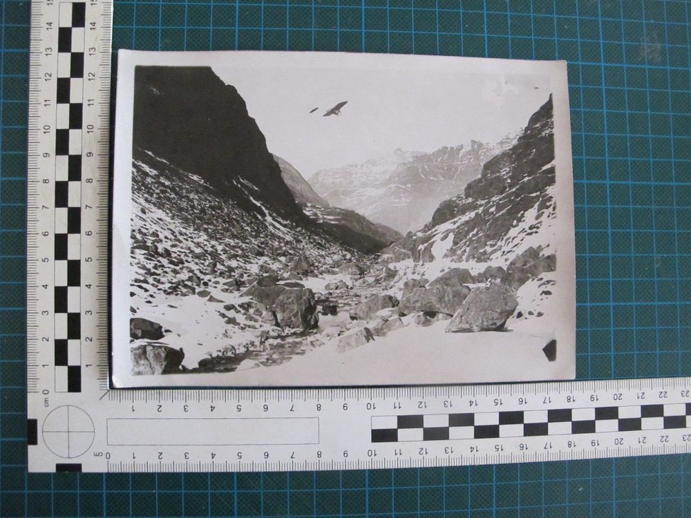 Photo de l'avion du pilote Suisse Bider sur monoplan Blériot (D ...